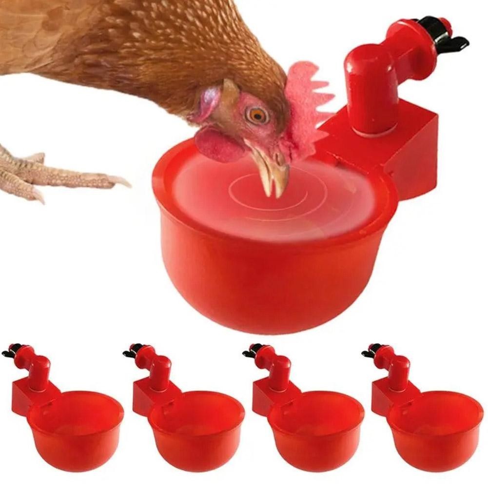Automatic Drinking Trough For Chicken And Duck Automatic Drinker ...