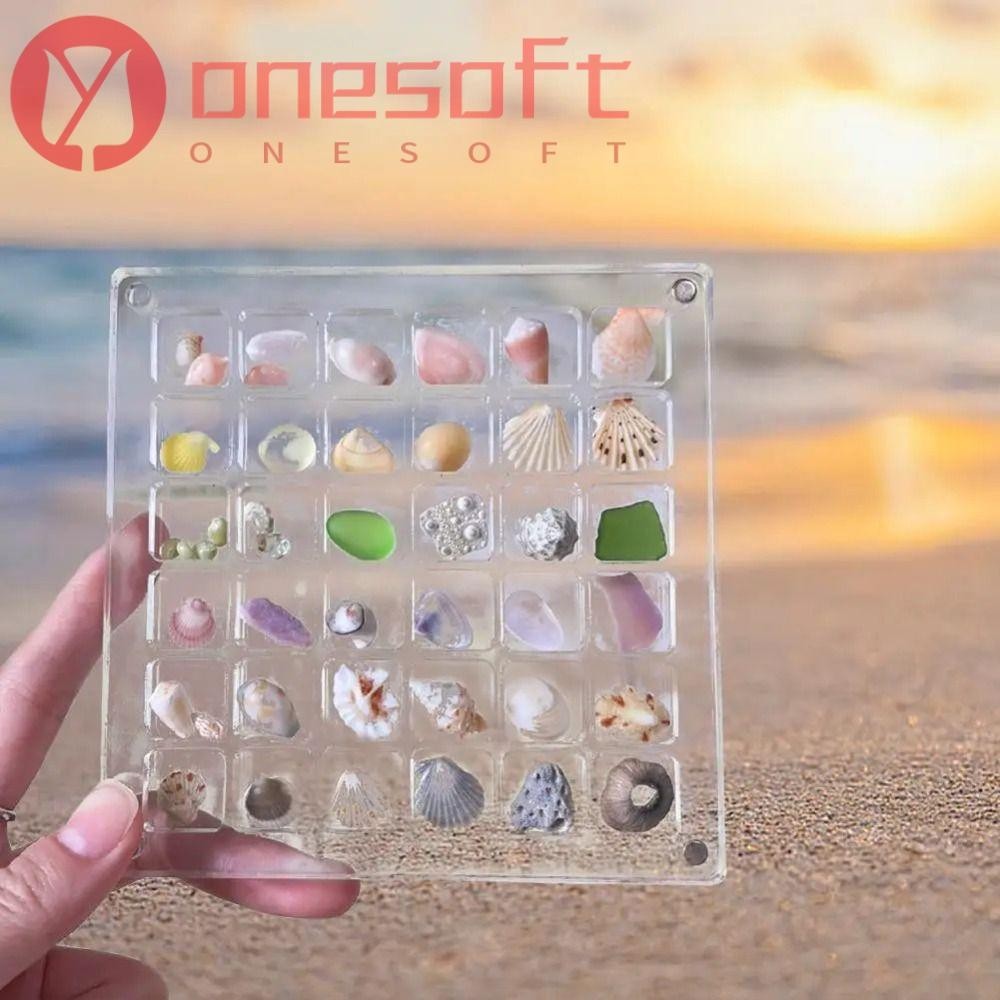 ONE-SOFTNESS Magnetic Seashell Display Box, Transparent Plastic ...