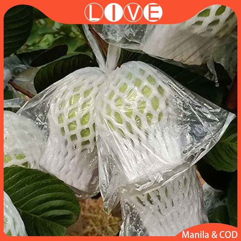 100Set Guava Net Bags Fruit Net Cover Insect Proof Bag (Intranet+Outer ...