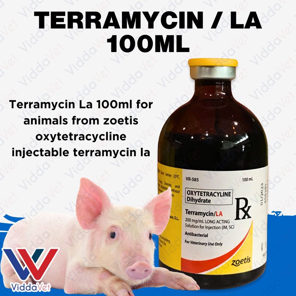 Terramycin LA 100ml for Livestock Wellness | Shopee Philippines