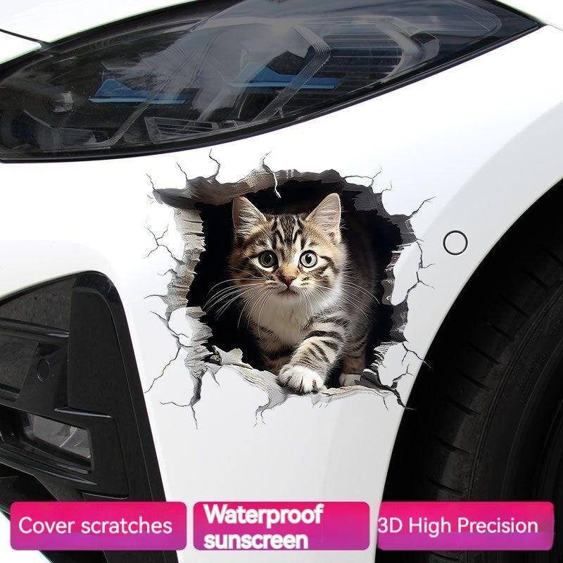 Personalized Pet Cat Car Stickers Scratches Car Stickers Body Scratches ...