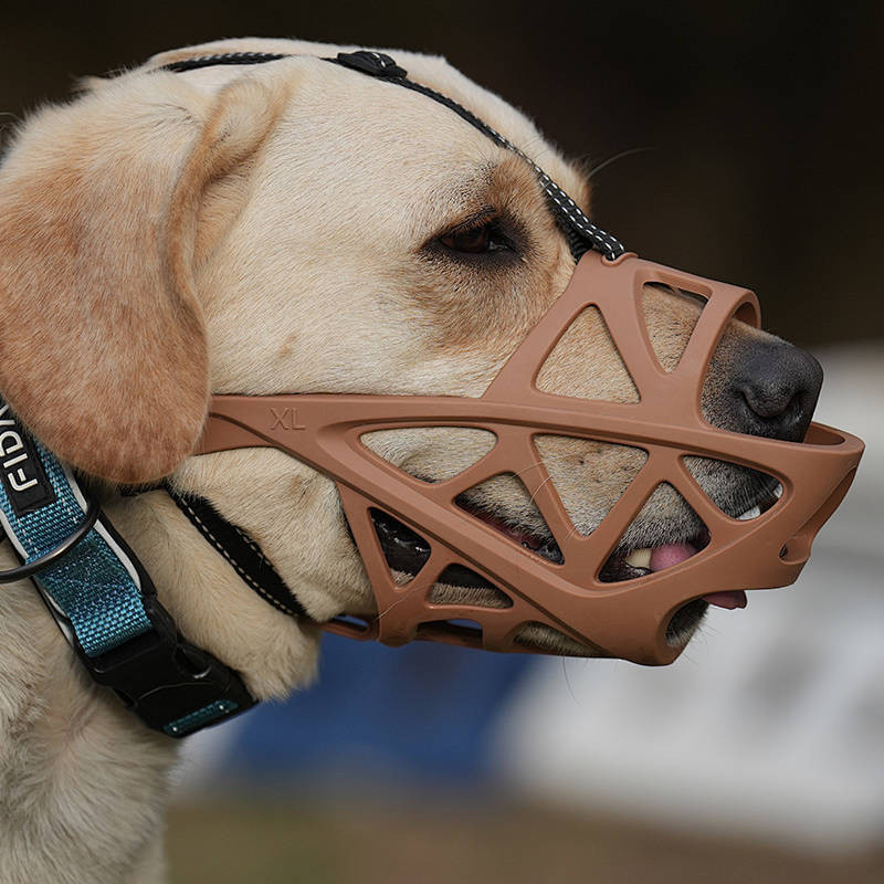 Dog Muzzle Anti-Bite Anti-Eating Mask Small Medium and Large Dog Golden ...