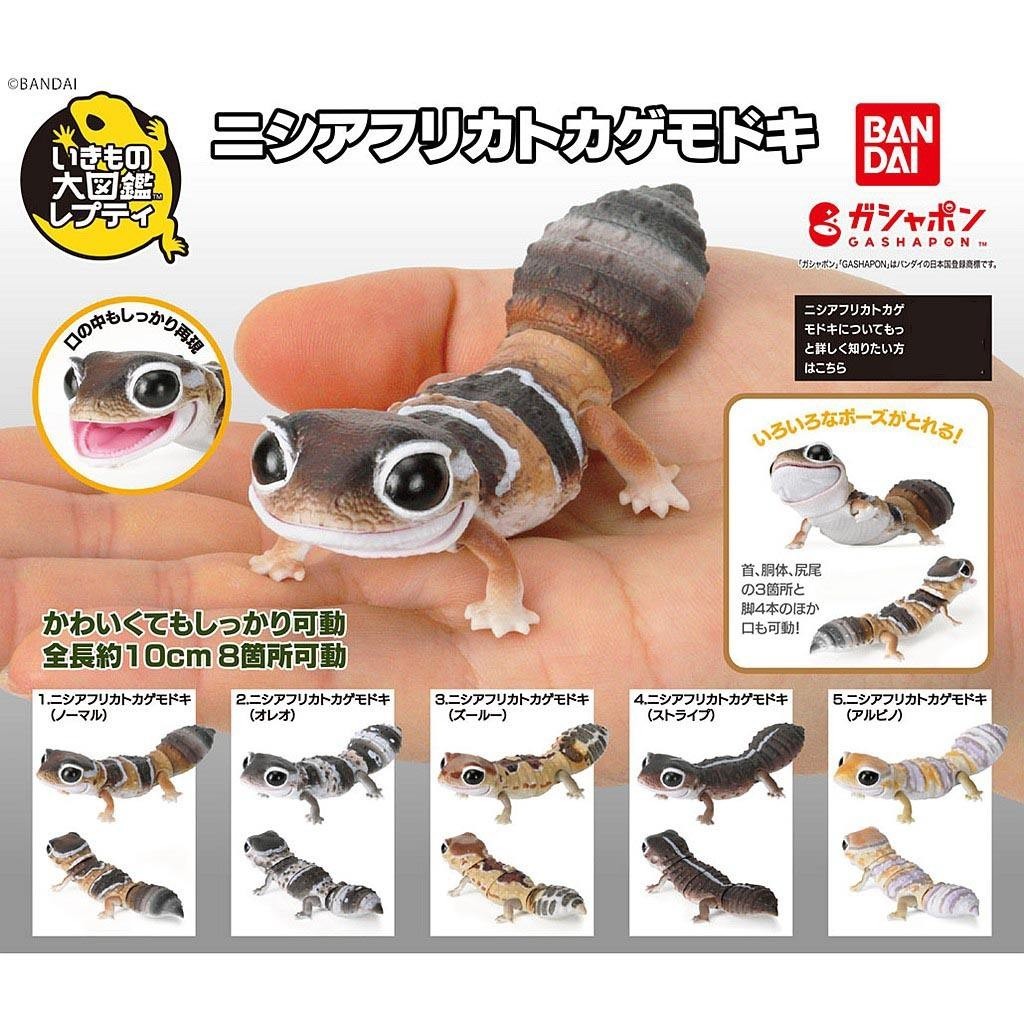 Bandai BANDAI Gashapon Biological Illustrated Book Joint Movable ...