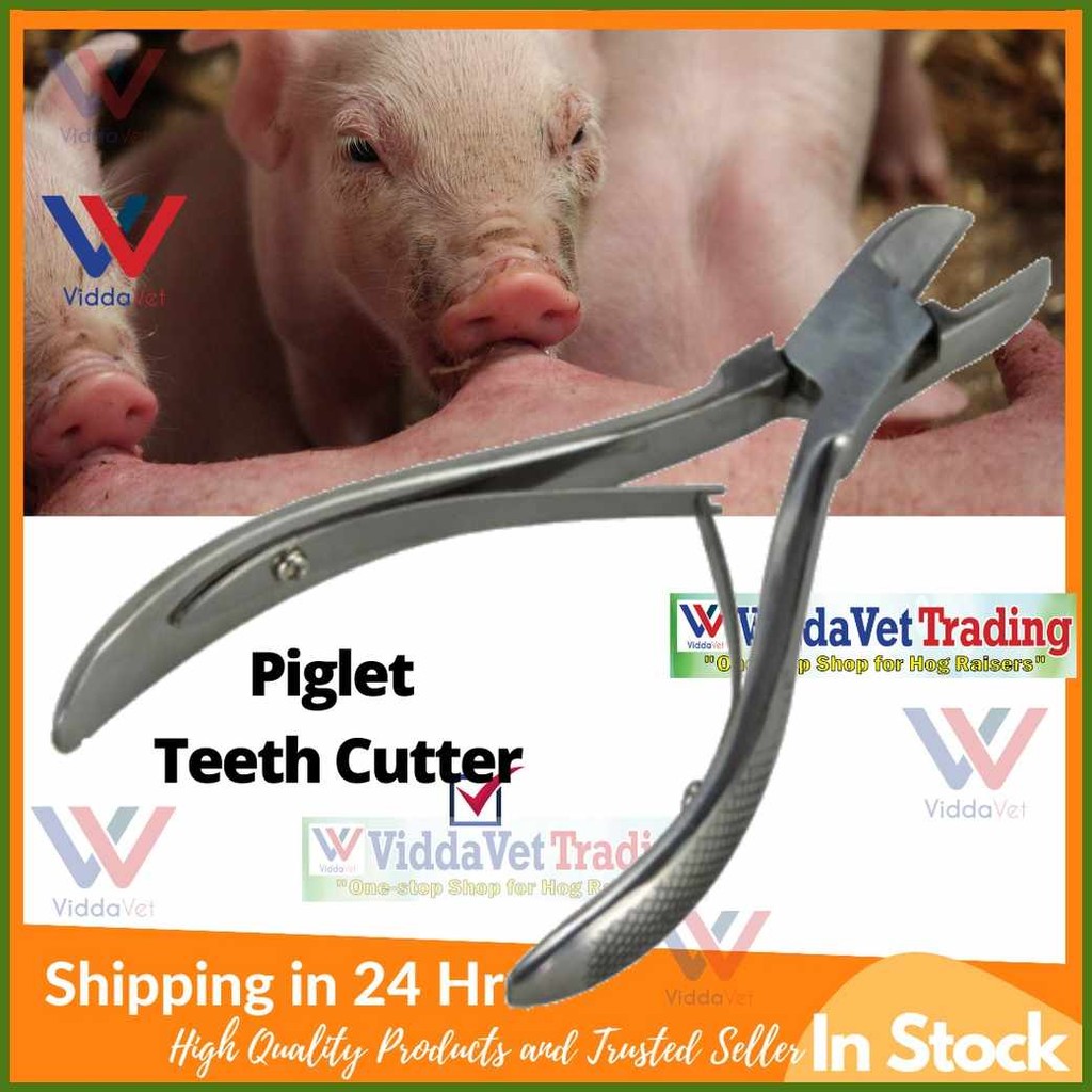 Piglet:Ha/teeth}xi[cutter`gk;Piglet&k