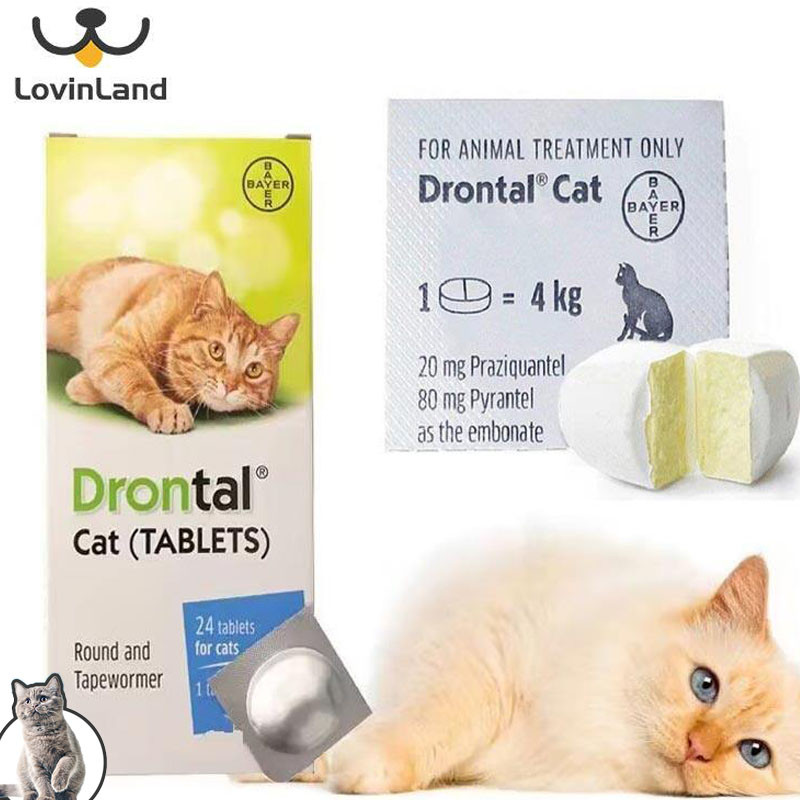 BAYER Drontal Tablet for Cats In Vivo Deworming of Roundworms and ...
