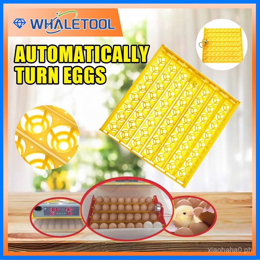 ac 220V Automatic Egg Incubator 56 Eggs Turner Tray Chicken Quail Duck ...