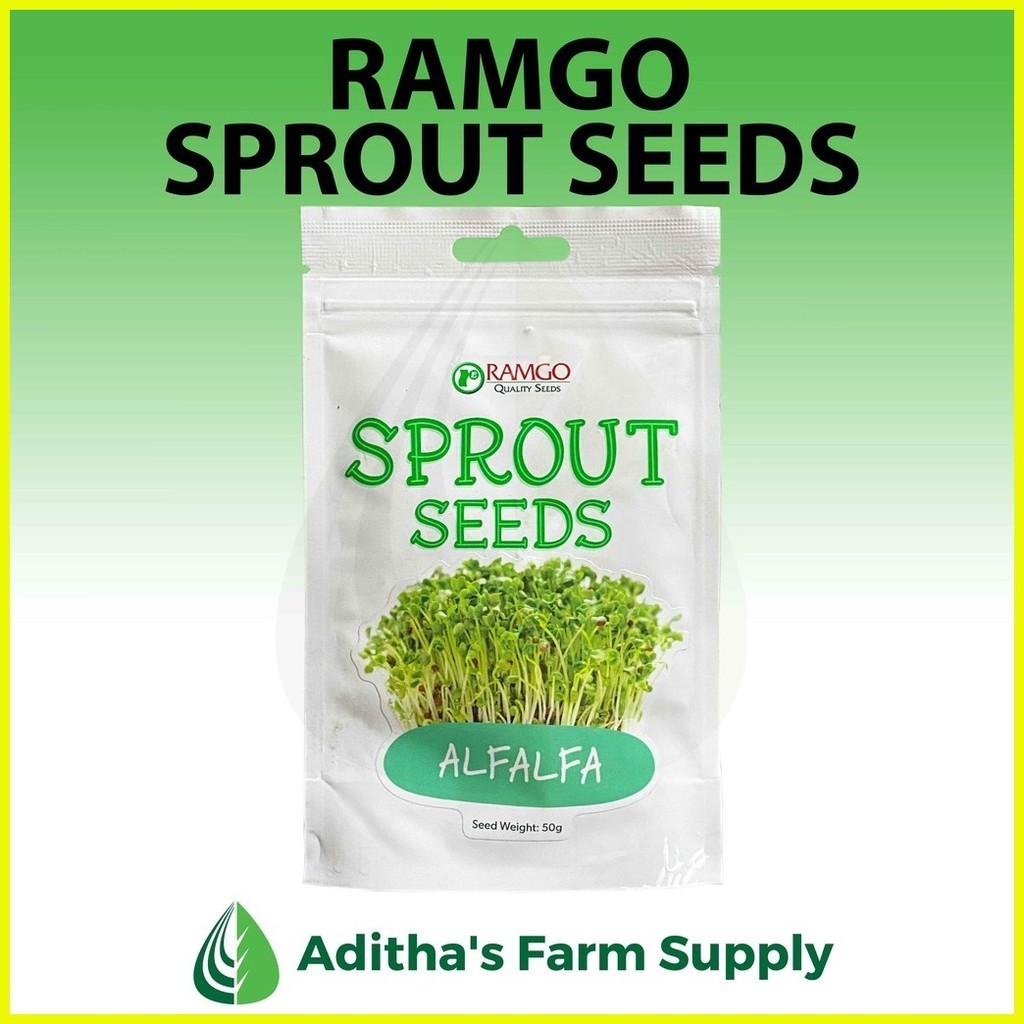 ♞Ramgo Sprout Seeds (Wheat Grass, Broccoli, Alfalfa, Radish)seeds IF2G ...