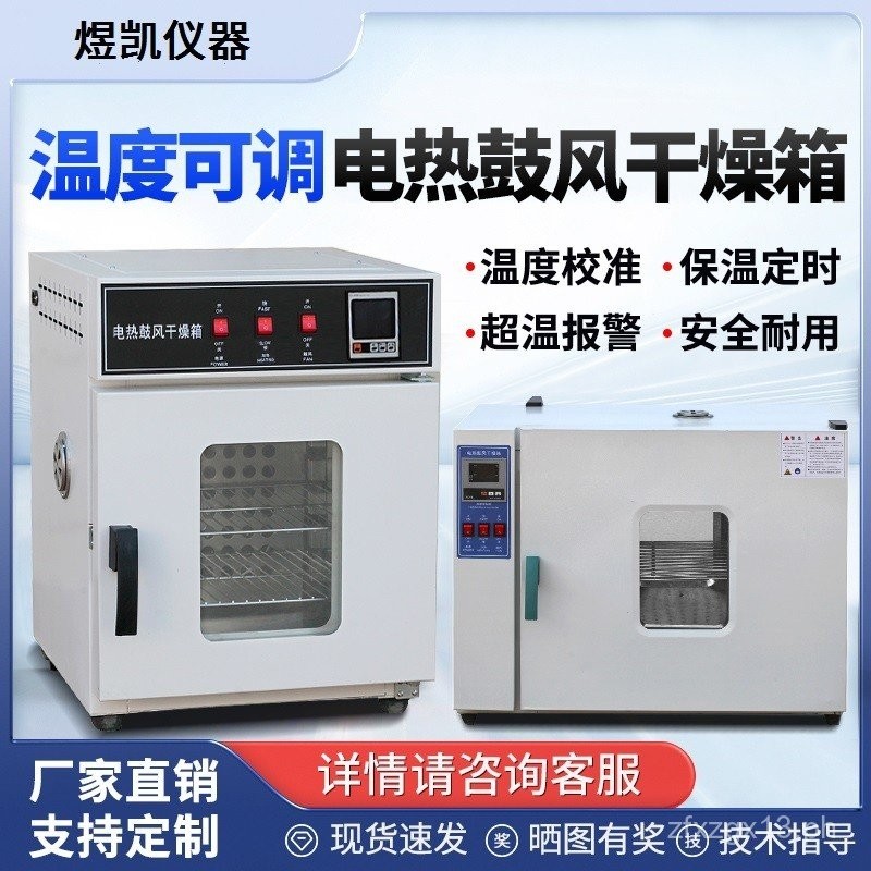 Electric Thermostatic Blast Drying Oven Laboratory Commercial ...