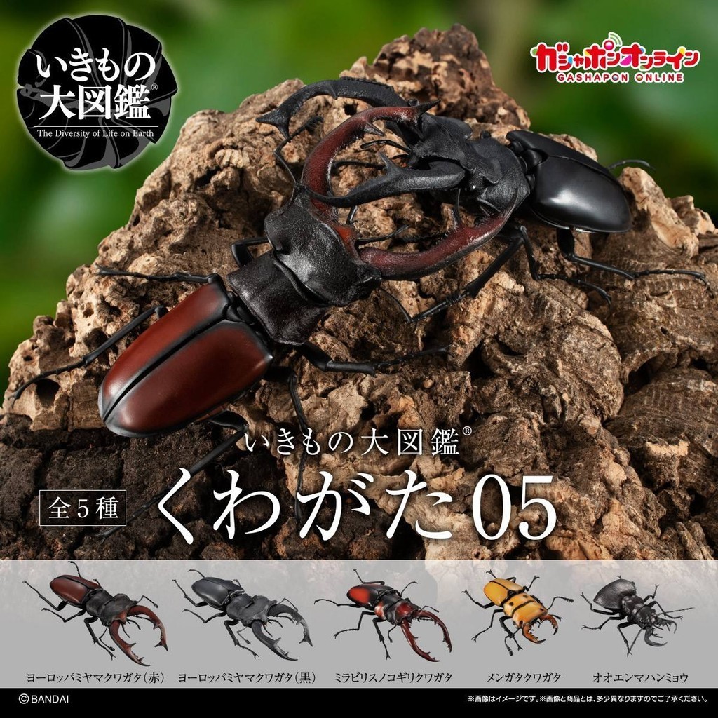 Bandai BANDAI Gashapon Movable Assembled Beetle Model 05 Simulation ...