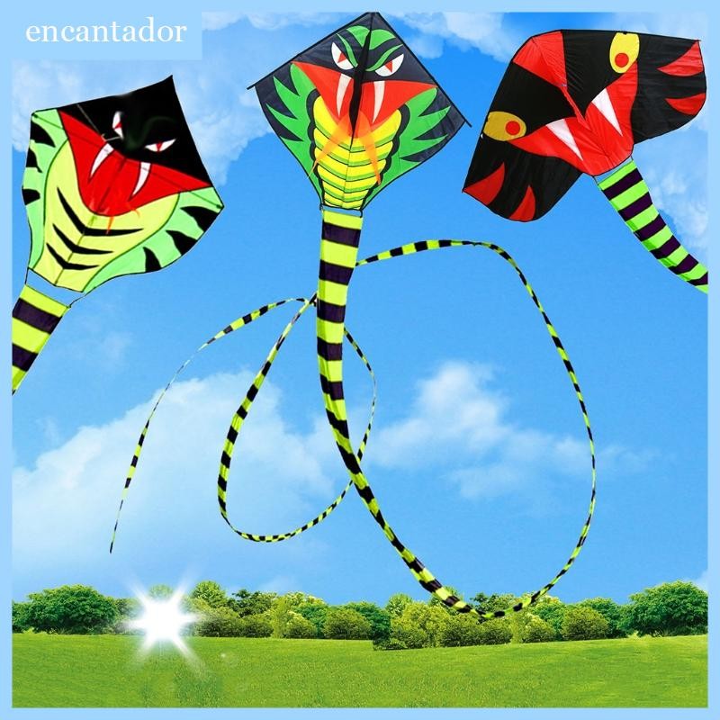 EC 11 16M Long Tail Snake Kite Huge Outdoor Soft Flying Kite for Kids ...
