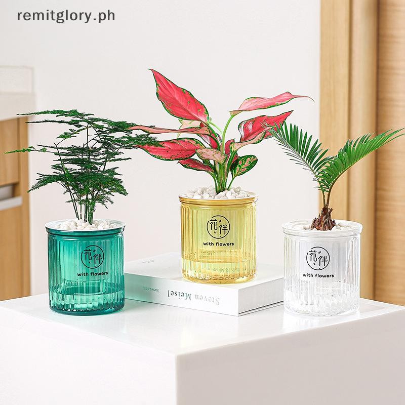 remitglory Lazy Self-Watering Flowerpot Automatic Water Absorption ...