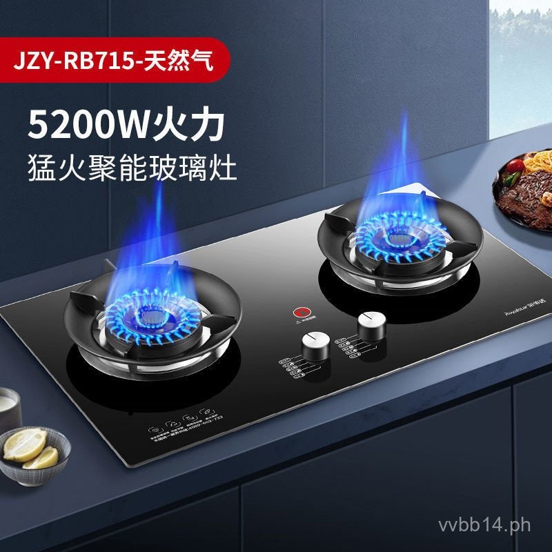 Royalstar Gas Stove Double Burner Natural Gas Stove Liquefied Gas Nine ...