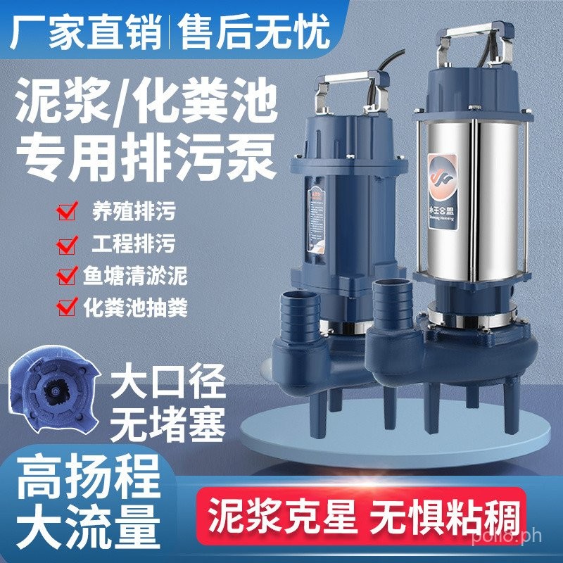 Fecal Pump Septic Tank Mud Pump Fish Pond Sludge Sewage Pump380v Mud ...