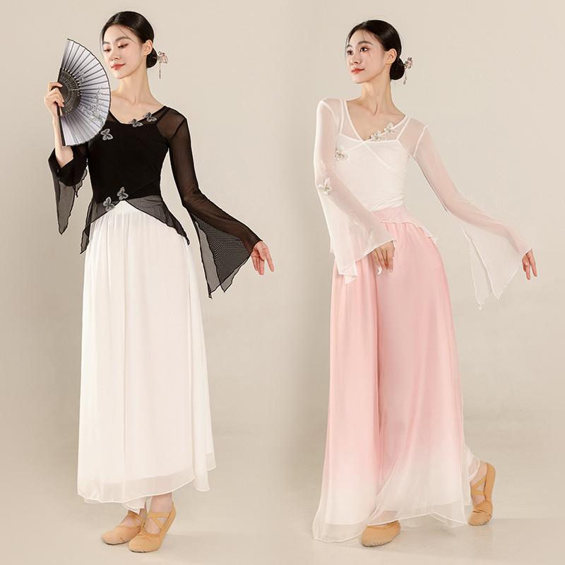 Classical Dance Costume Butterfly Net Gauze Body Rhyme Gauze Chinese ...