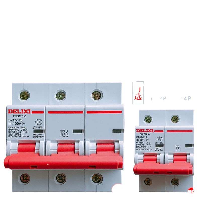 Delixi circuit breaker air switch DZ47-125 1P 2P 3P 4P D-type CDB2 80 100 125A | Shopee Philippines