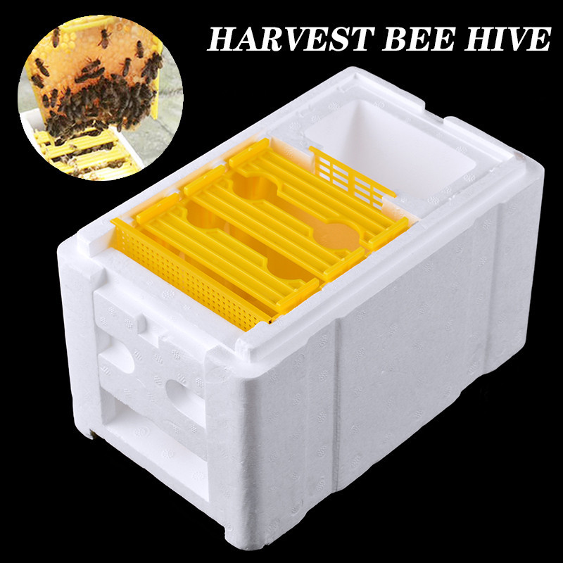 Auto Honey Beehive Frame Bee Hive King Box Garden Pollination Box ...