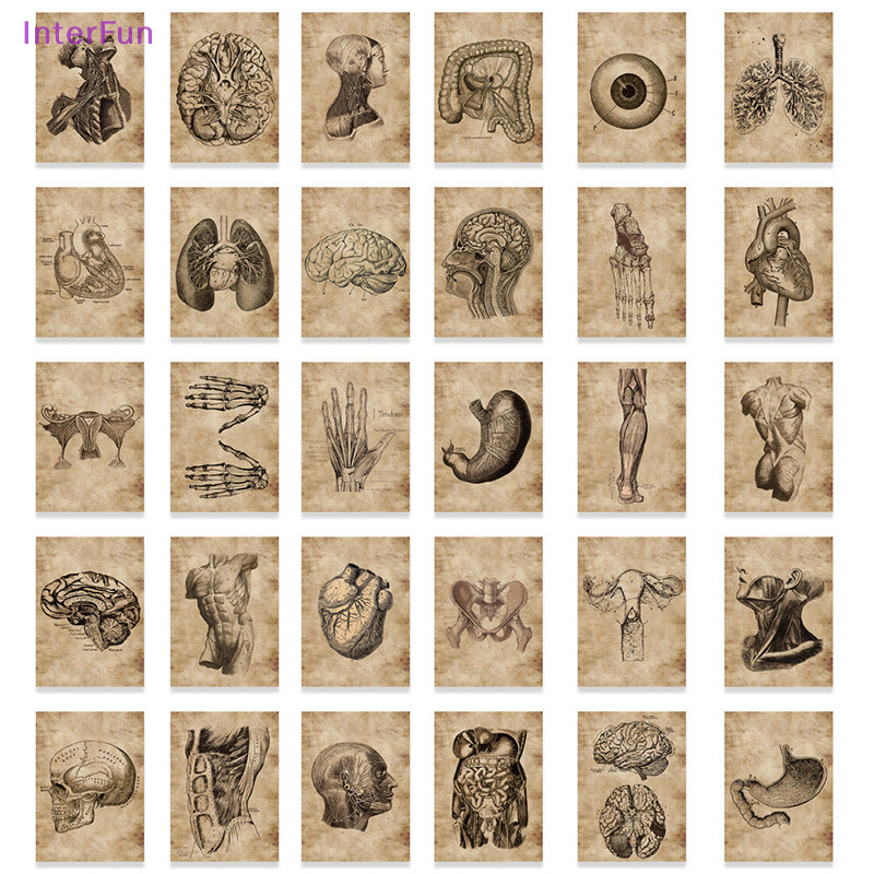 [InterFun] 56pcs/set Human Body Organ Stickers Waterproof Sticker ...