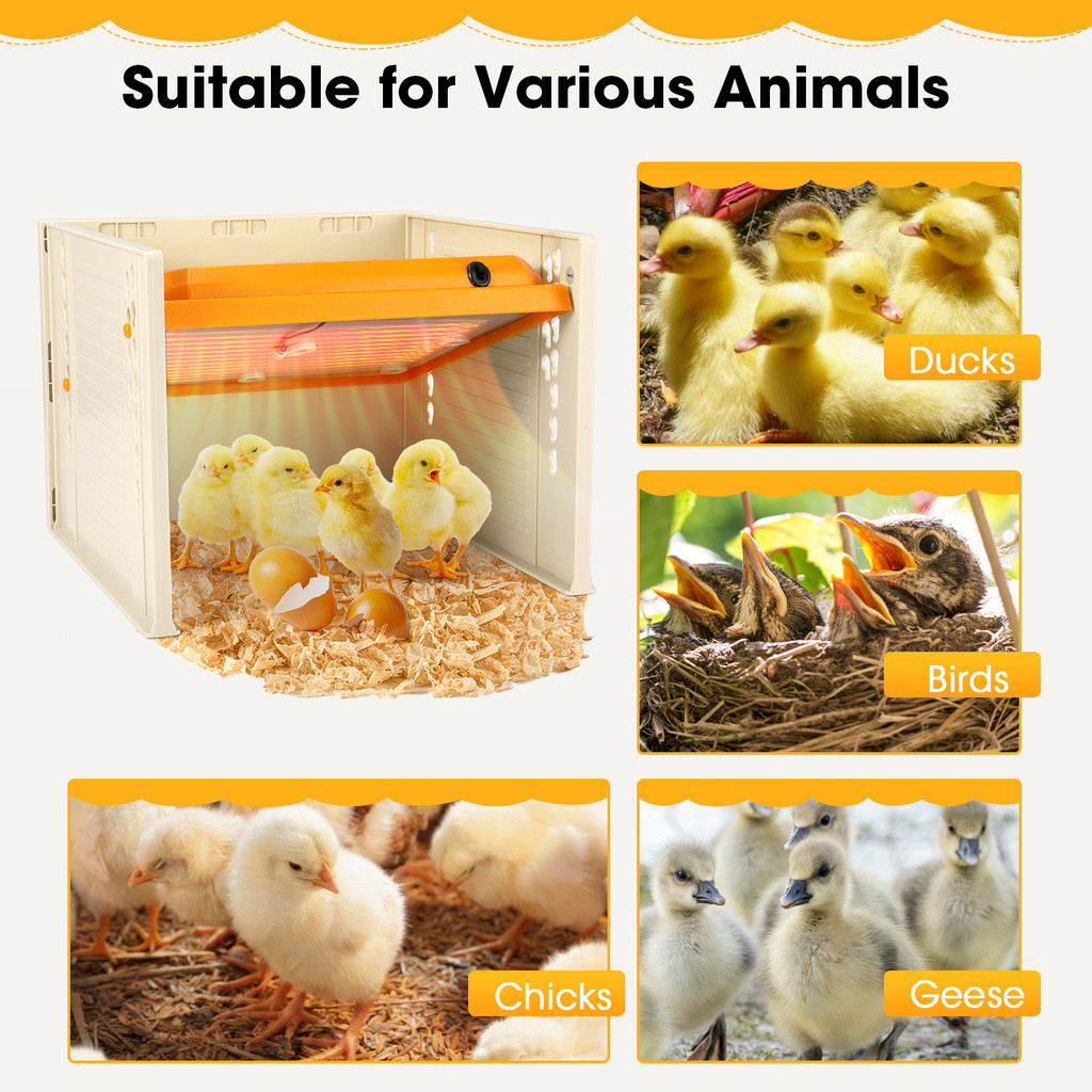 IU Brooder Heater For Chicks, Chick Brooder Heating Plate With Easy ...