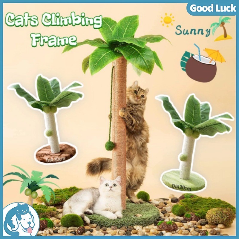 【COD】Coconut palms Cat Scratching Rack with Sisal Rope Cats Climbing ...