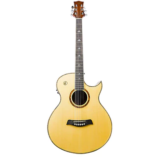 RJ Guitars