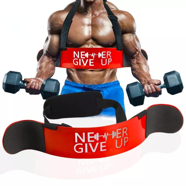 Slender biceps training board dumbbell barbell biceps frame, arm ...