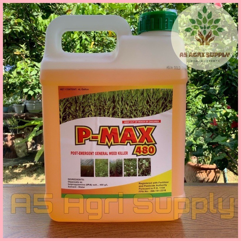 ∈ P-MAX PMAX 480 GLYPHOSATE HERBICIDE Pamatay Damo Talahib 4Liter ...