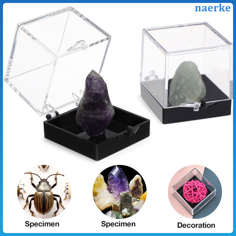 [Ready Stock] 12 Pcs Mineral Showcase Standard Display Box Clear ...