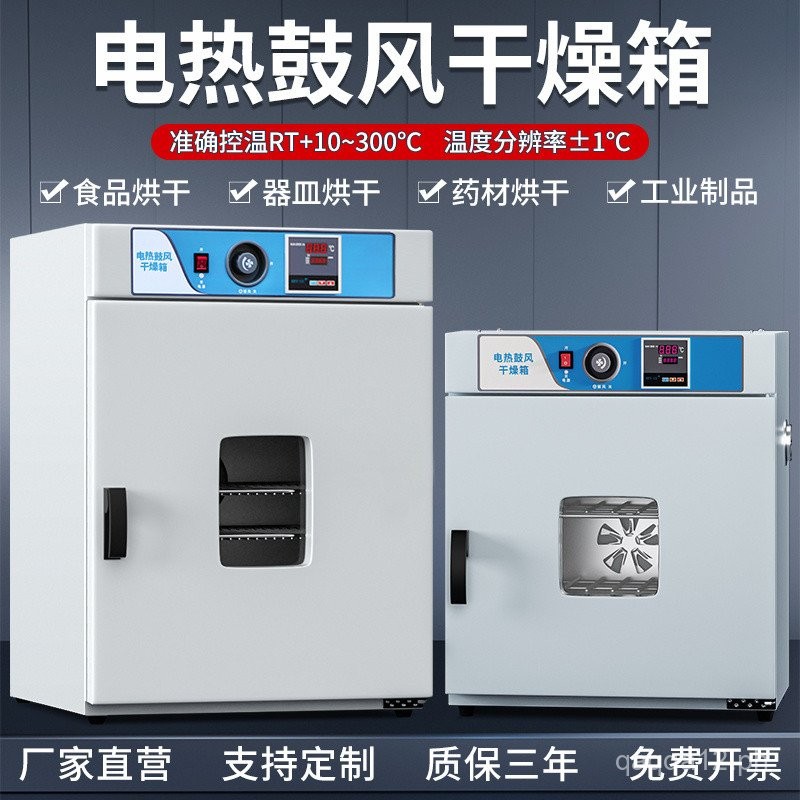 Electric Thermostatic Blast Dryer Laboratory Commercial Industrial Oven Large and Small Ovens ...
