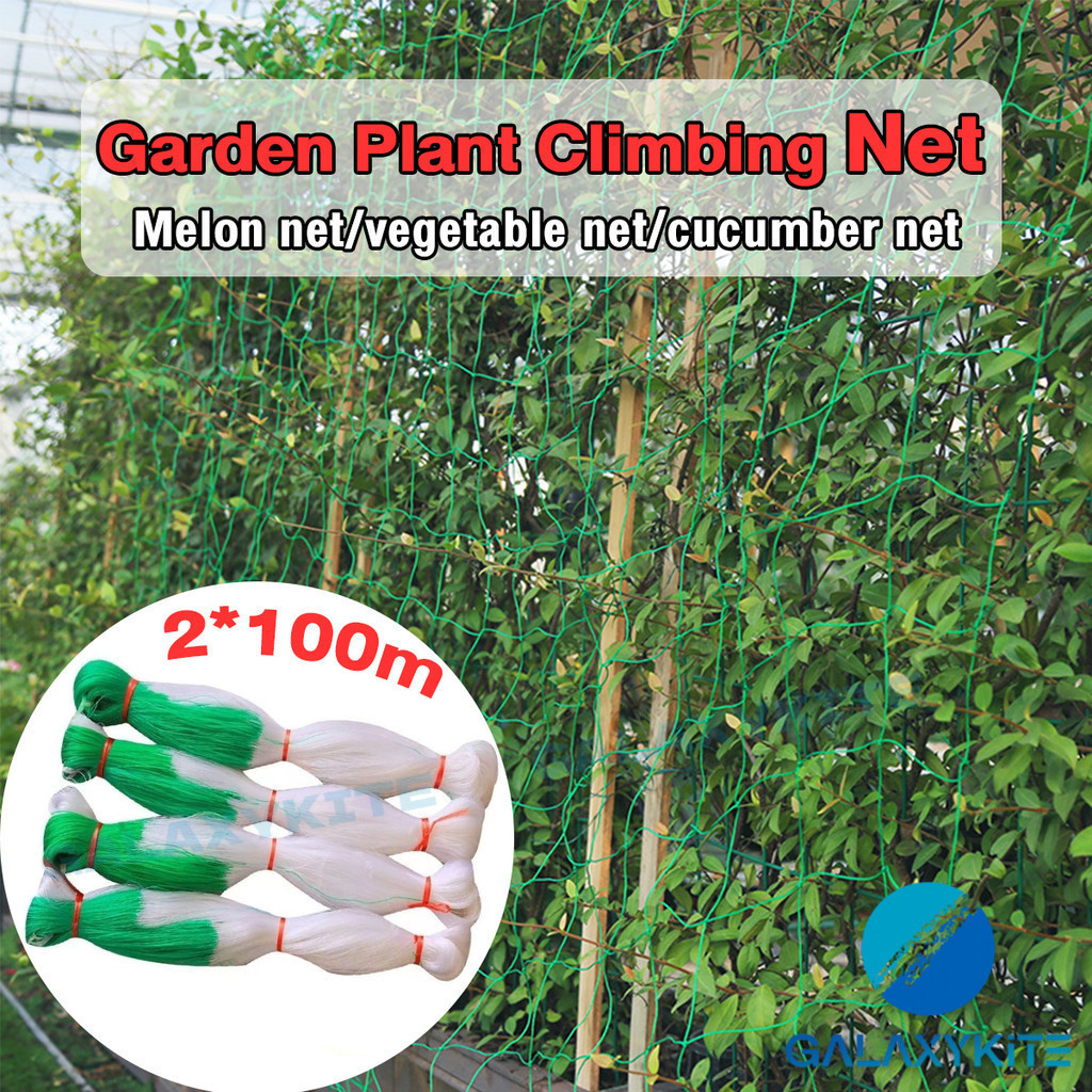 Garden Plant Climbing Net Vegetables Cucumber Trellis Net Trellis Net ...