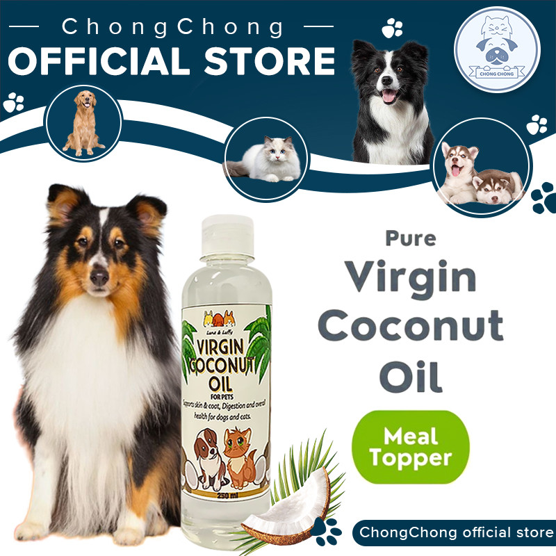 Pure VCO Virgin Coconut Oil For Dog Pet Cat Virgin Coconut Oil Food ...