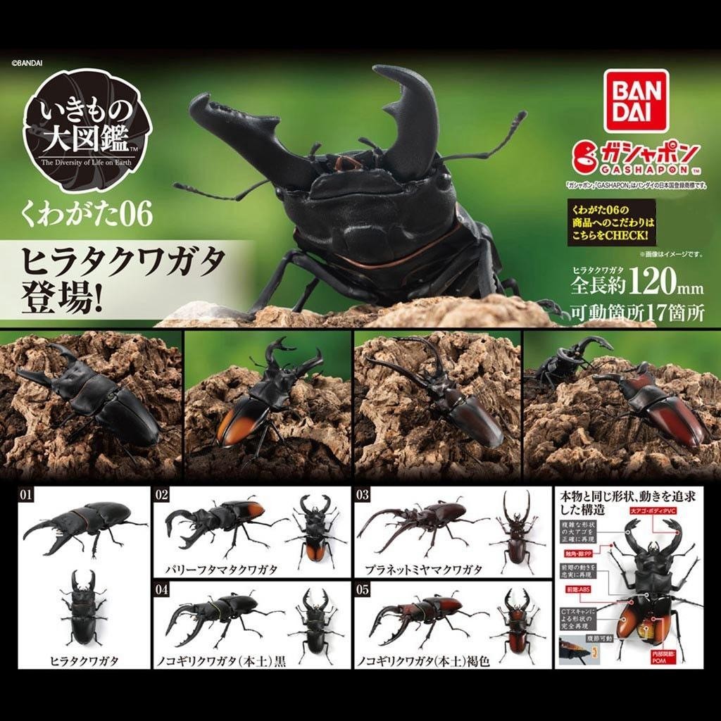 Bandai BANDAI Gashapon Movable Assembled Beetle Model 06 Simulation ...