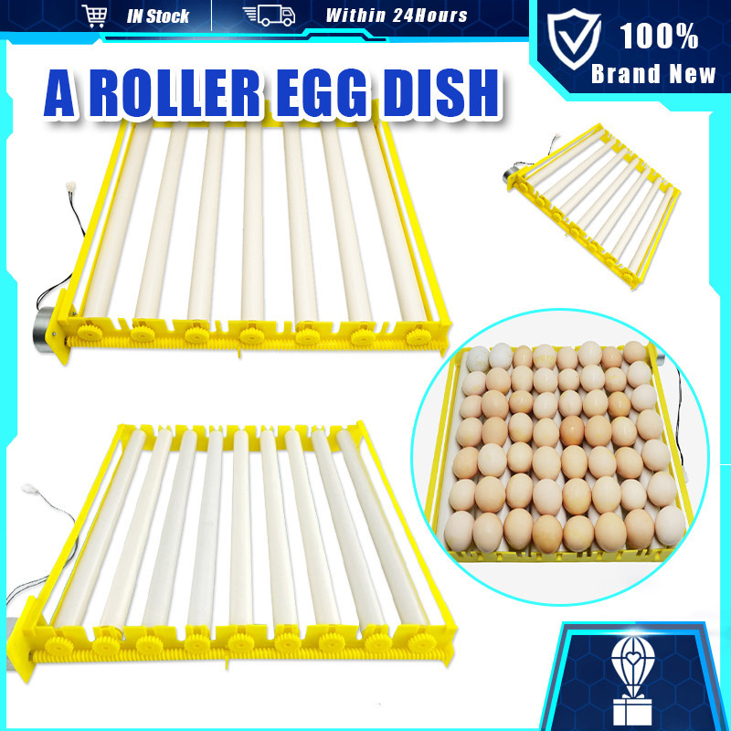 AC220V Automatic Egg Incubator 42/56 360° Roller Rotating for Chicken ...