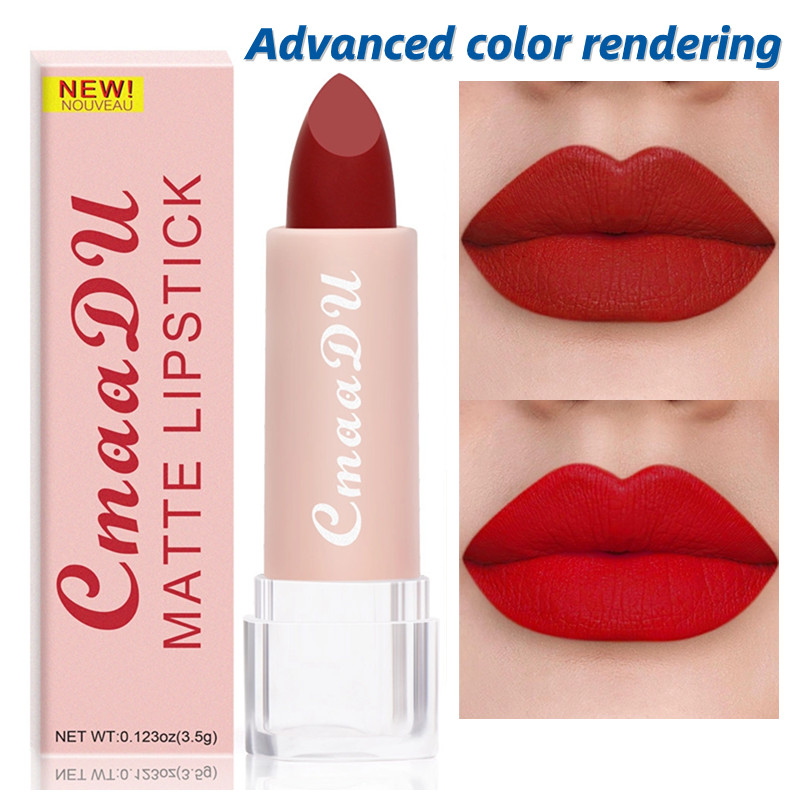 Waterproof Red Nude Lipstick Beauty Makeup Long Lasting Matte Velvet ...