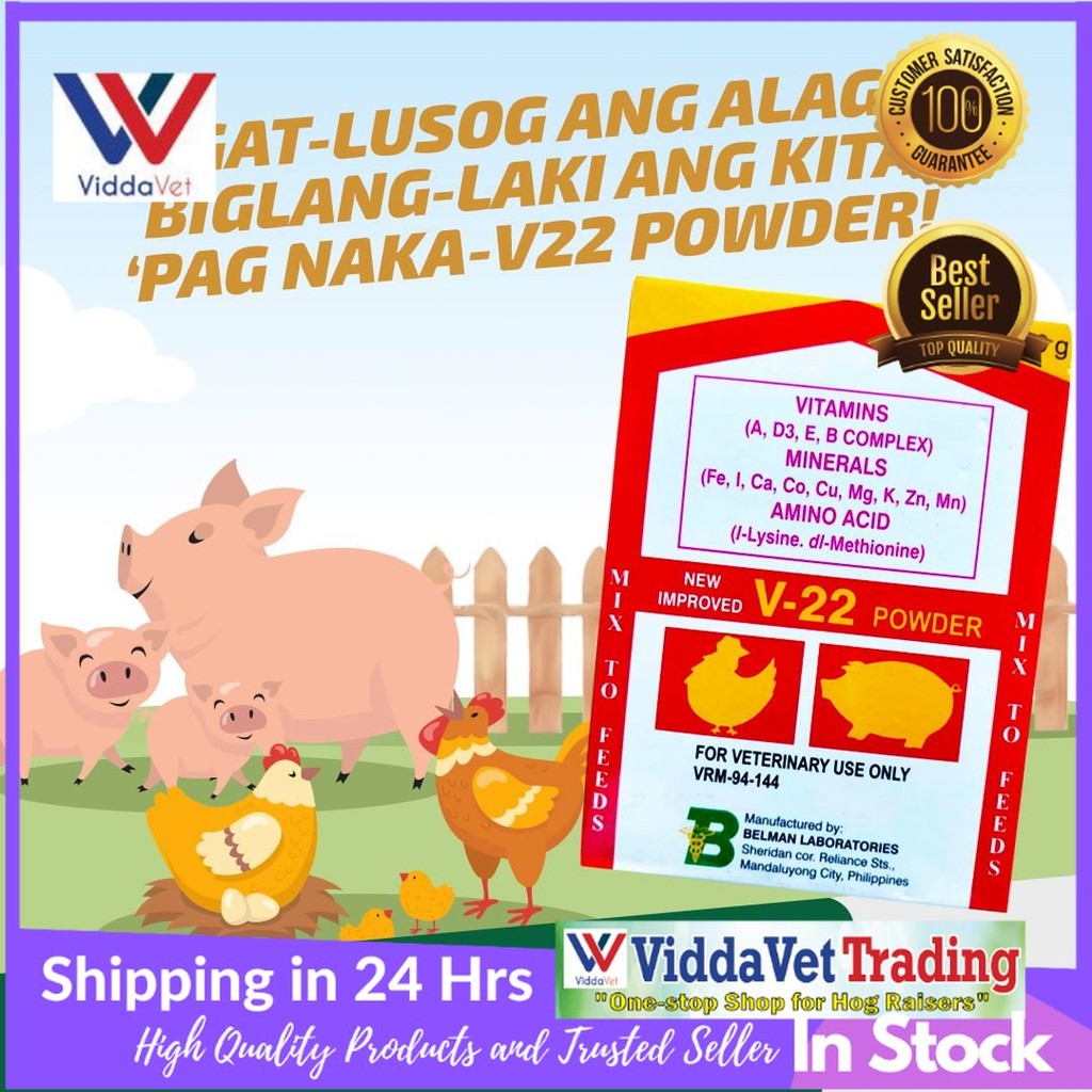 Viddavet Belman V 22 Powder Vitamin, Mineral and Amino Acids 1kilo ...