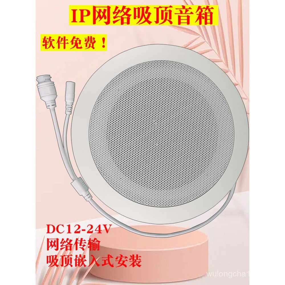 IP Network Digital Paging Broadcast Ceiling Speaker Embedded Active ...