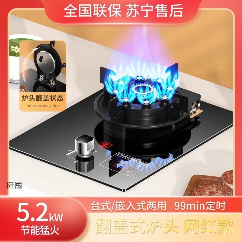 Single Burner Gas Stove Natural Gas Single Burner Gas Stove Built-in ...