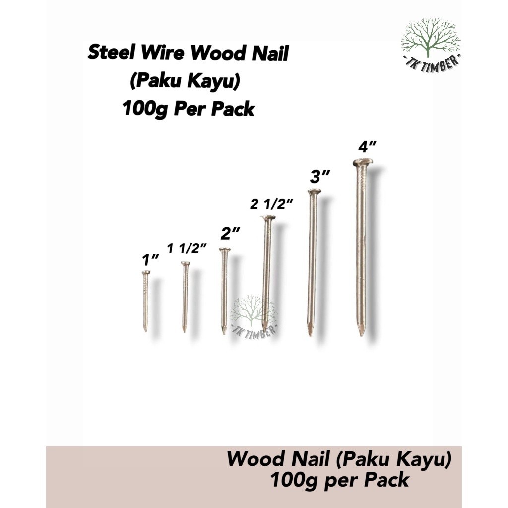 100g Steel Wire Nail, Steel Wood Nail (Paku Kayu)/ (Common Nail ...