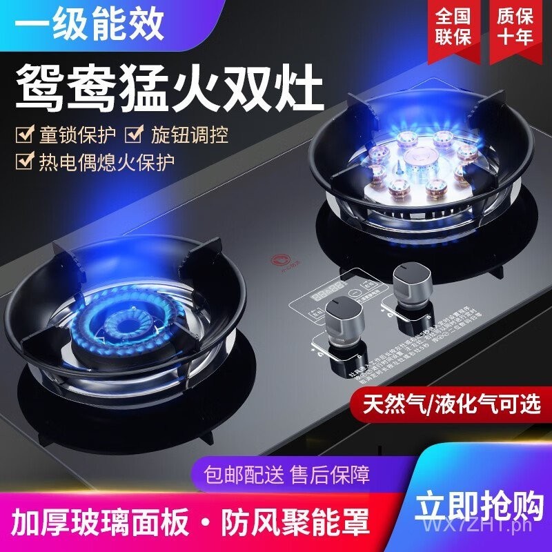 Hall and Hotata Gas Stove Double Burner Household Gas Stove Natural Gas ...
