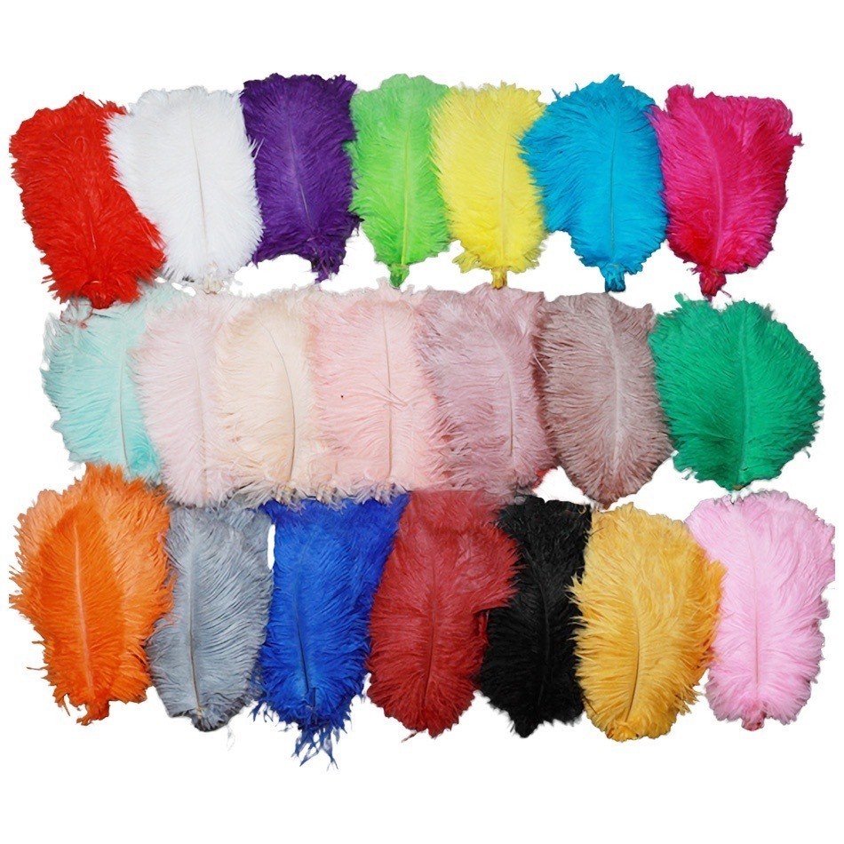 10Piece 15-20CM Natural Colored Ostrich Feathers Crafts DIY Party ...