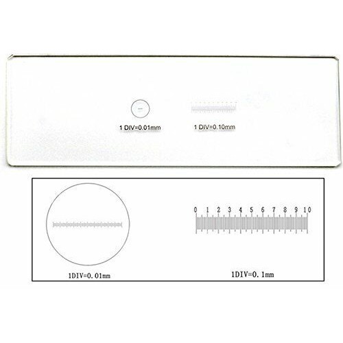 Microscope Stage Micrometer Calibration Slide Graduated Scale Slide 0.1 ...