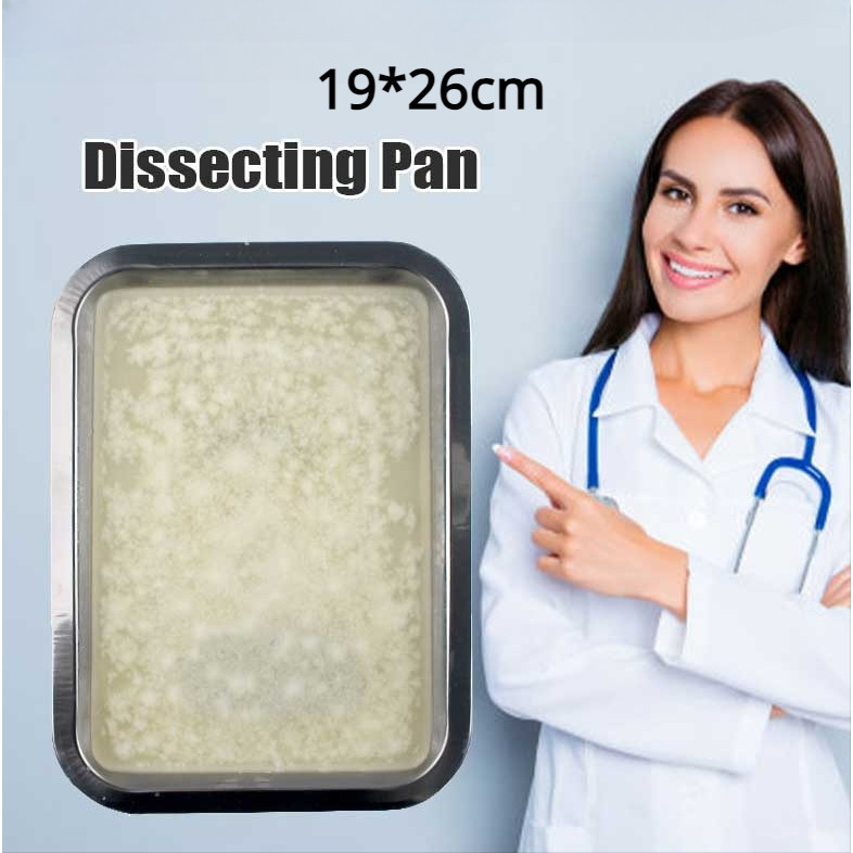 Stainless Steel Dissecting Pan With Wax For Laboratory - 19*26cm ...