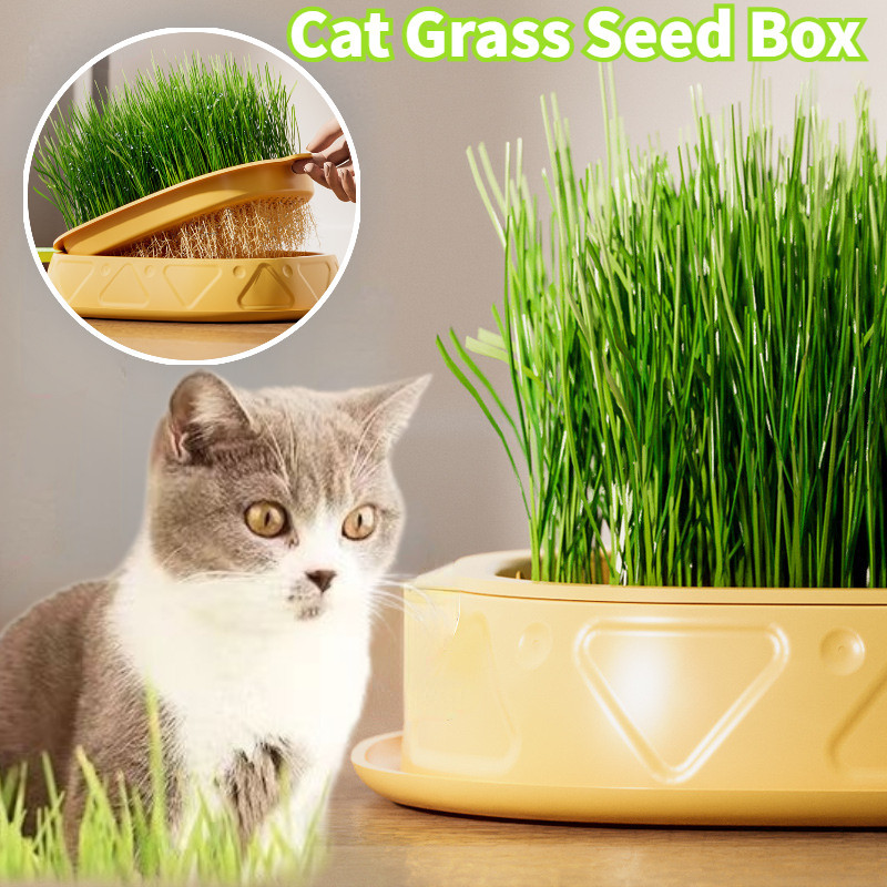 Cat Grass Seed Box Soilless Hydroponic Planting Organic Pet Cat Treat ...
