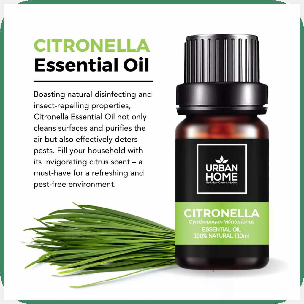 Citronella:Fy%Essential]jk;sD&Oil,`dX&100%`uh&Pure`yr&and`Du&Natural ...