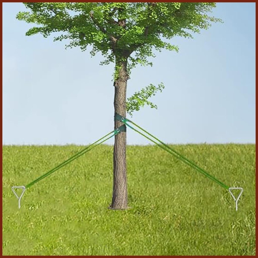 Heavy Duty Tree Stakes Anchor Support Kit for Young Trees Against Bad ...