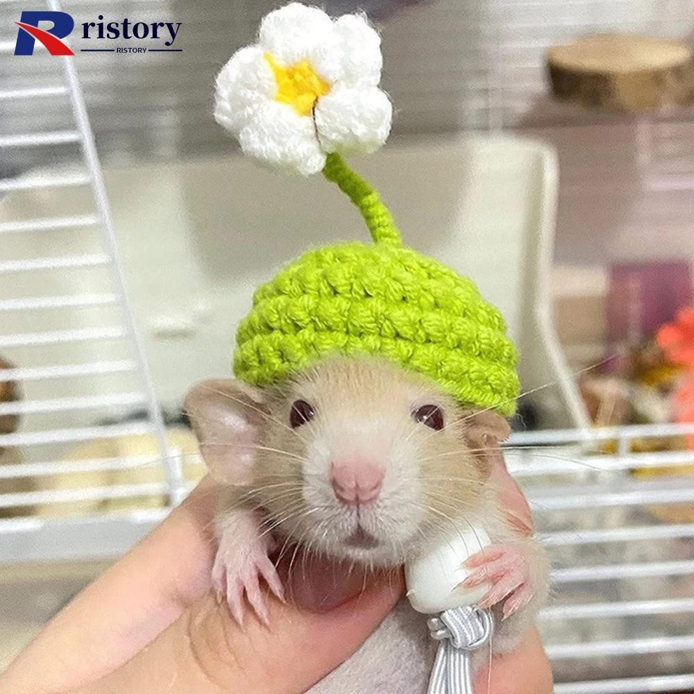 RISTORY Pet Hamster Budgerigar Cockatiel Peony Parrot Bird Hat Wool ...