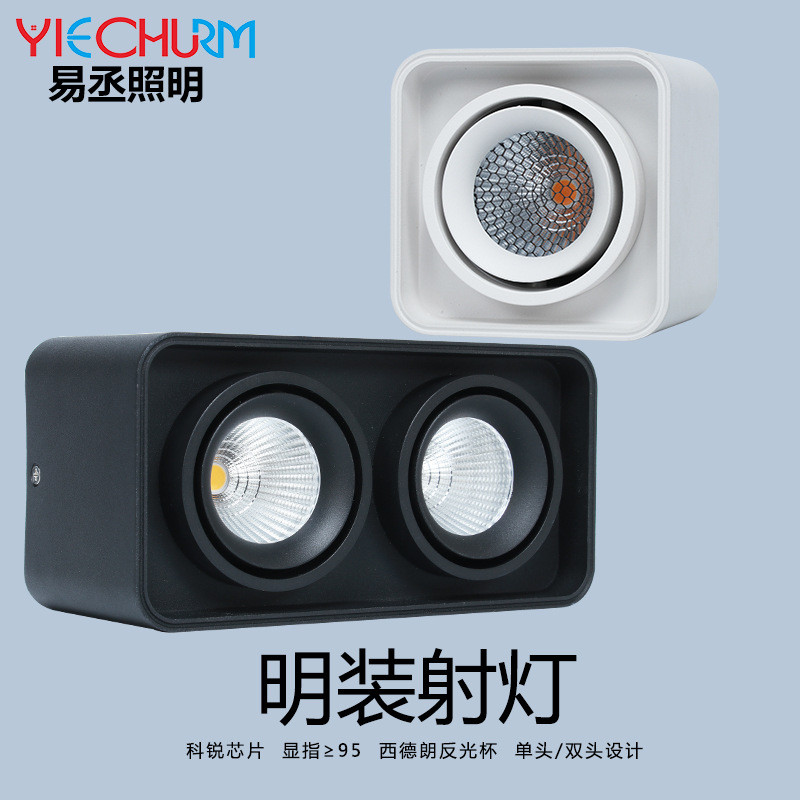 Surface-Mounted Square Double-Headed Downlight led Spotlight Double ...