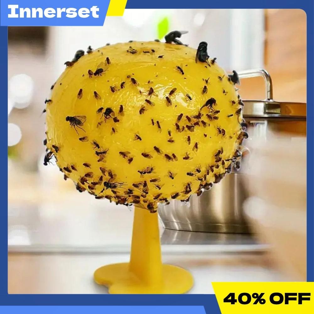 Fruit Fly Trap Killer Fruit Fly Catcher Drosophila Trap for Outdoor ...