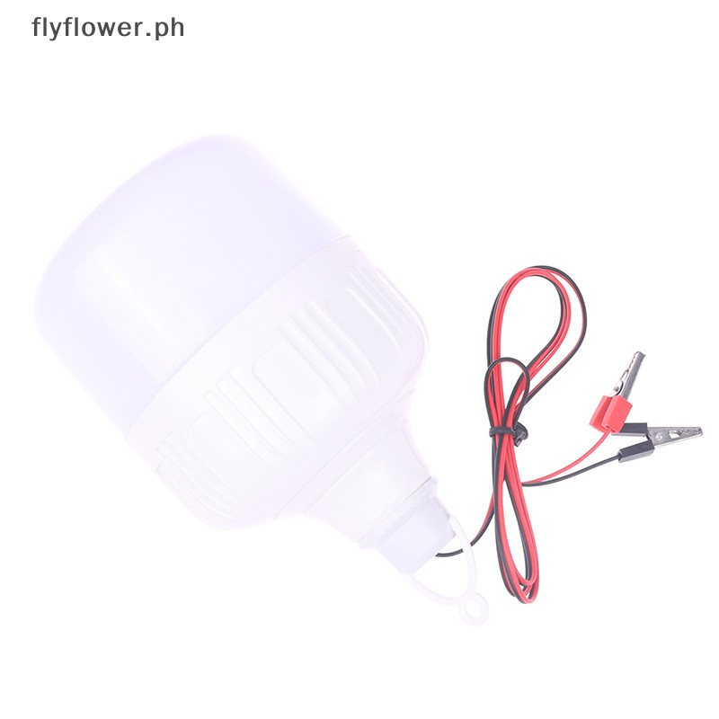 { flyflower.ph } 12V 40W Bulb Light With Wire Clip Led Light Night ...