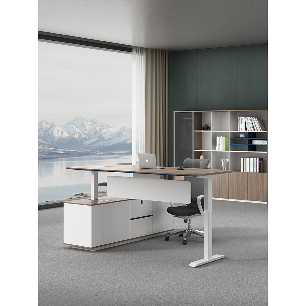 Smart Dual Motor Electric Height Adjustable Desk Computer Desk Study ...