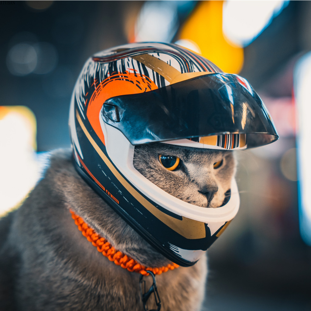 ATUBAN DIY Pet Helmets,Cat Helmet,Dog Helmet-Outdoor Mini Head ...